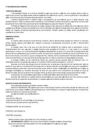 Lesões Corporais I - AULA 05 – LESÕES CORPORAIS RESUMINDO...... ARTIGO ...