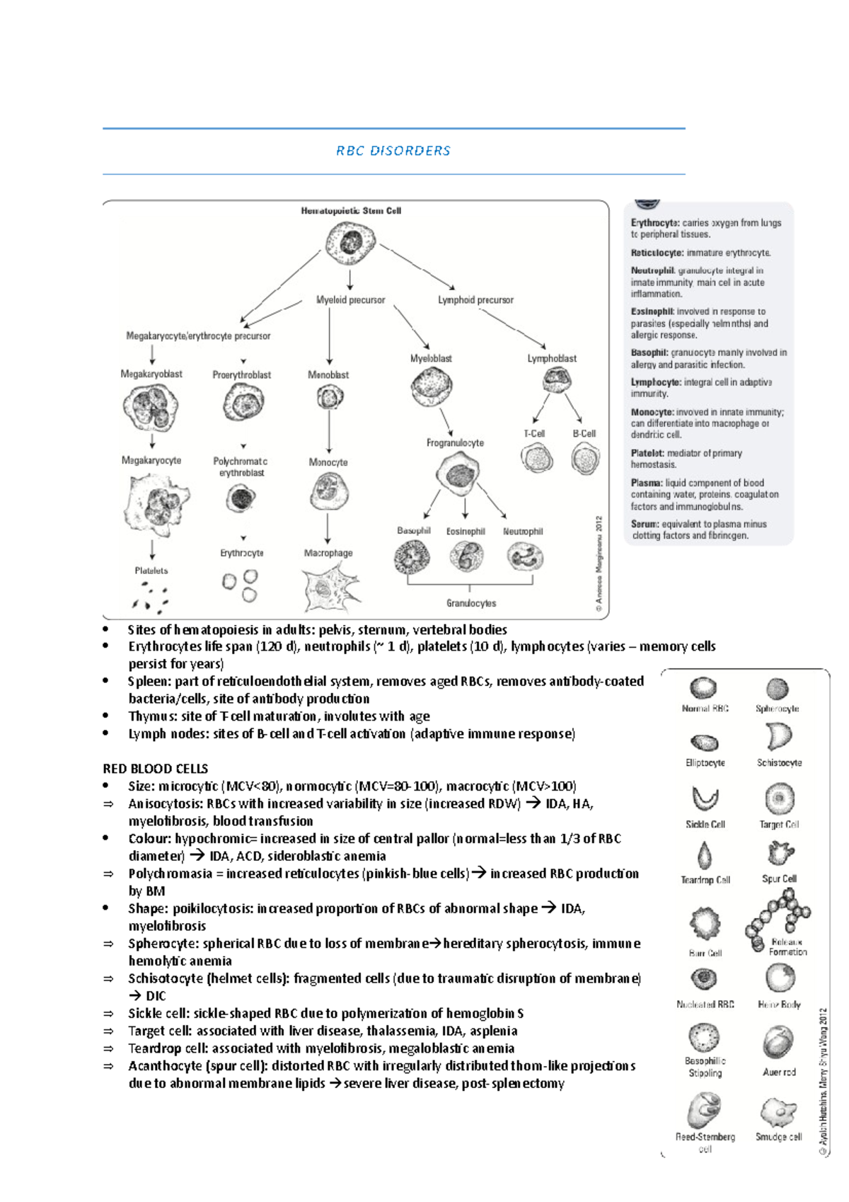 Summary - lecture 4 - Rbc disorders - RBC DISORDERS Sites of ...