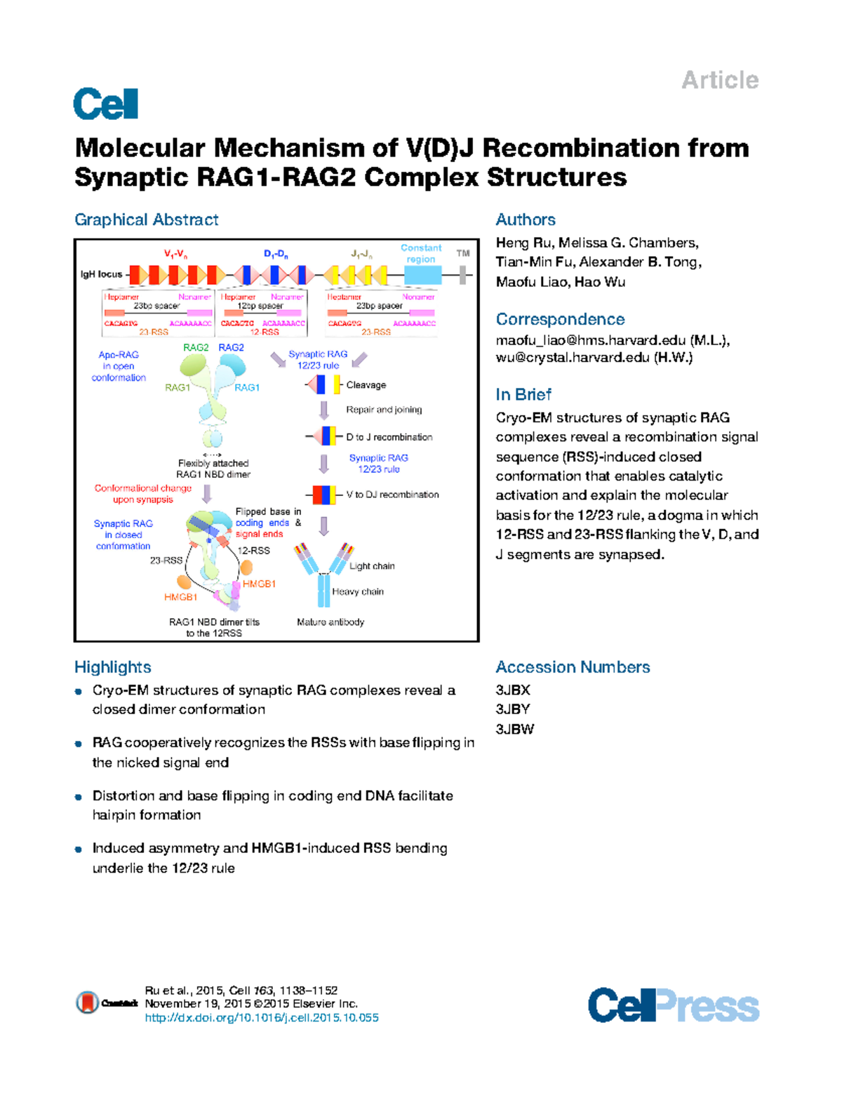 RAG1-RAG2-Cell - Artículo - Article Molecular Mechanism of V(D)J ...