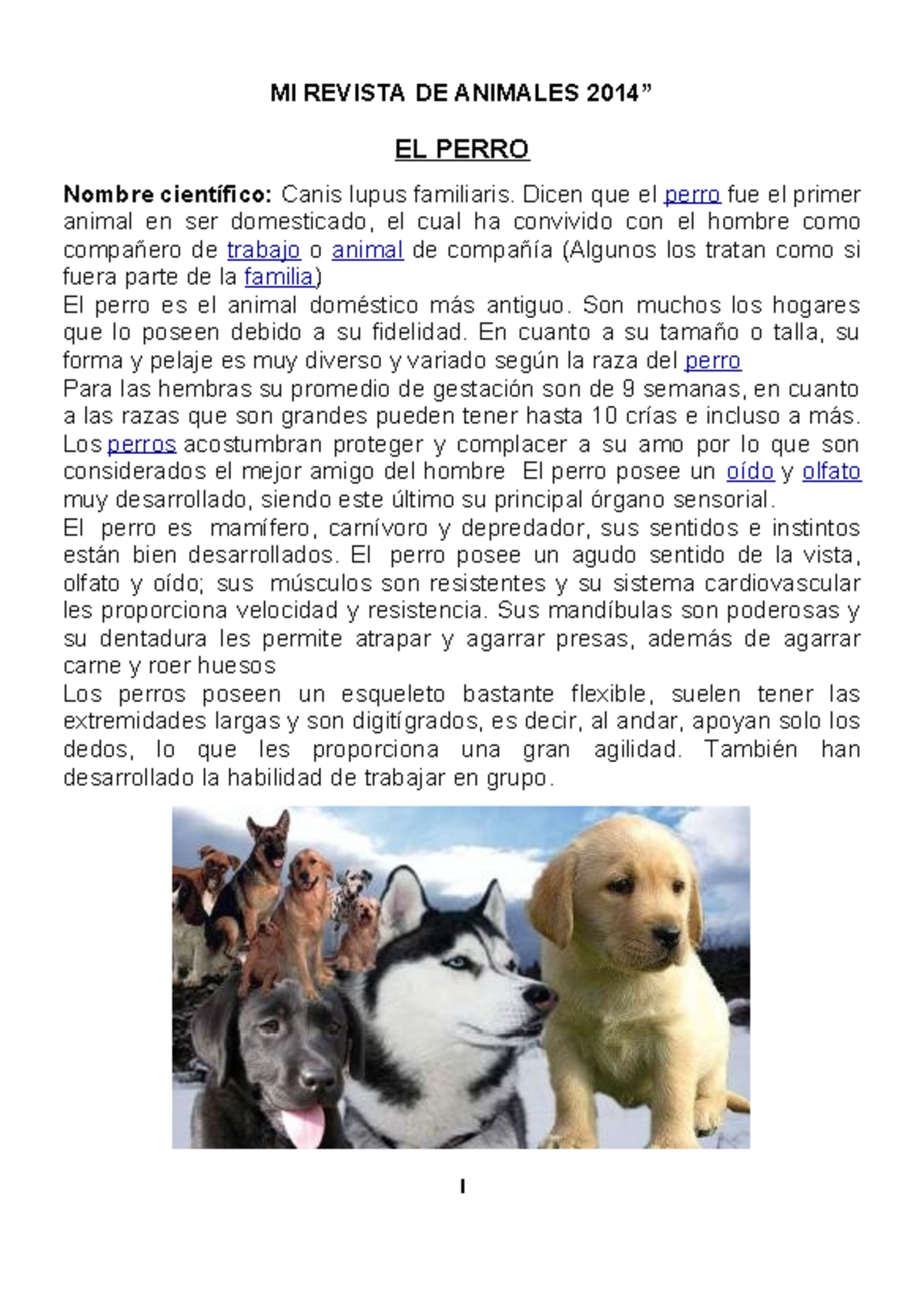 MI Revista DE Animales - HOKA - EL PERRO Nombre científico: Canis lupus ...