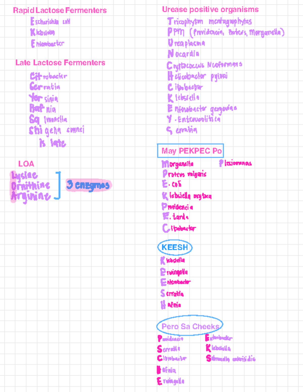 summary of bacteria - Rapid Lactose Fermenters Late Lactose Fermenters ...