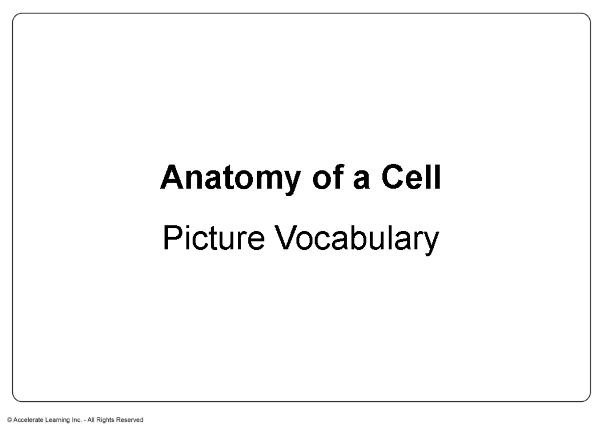 Anatomyofa Cell Explain Picture Vocabulary - Anatomy of a Cell Picture ...