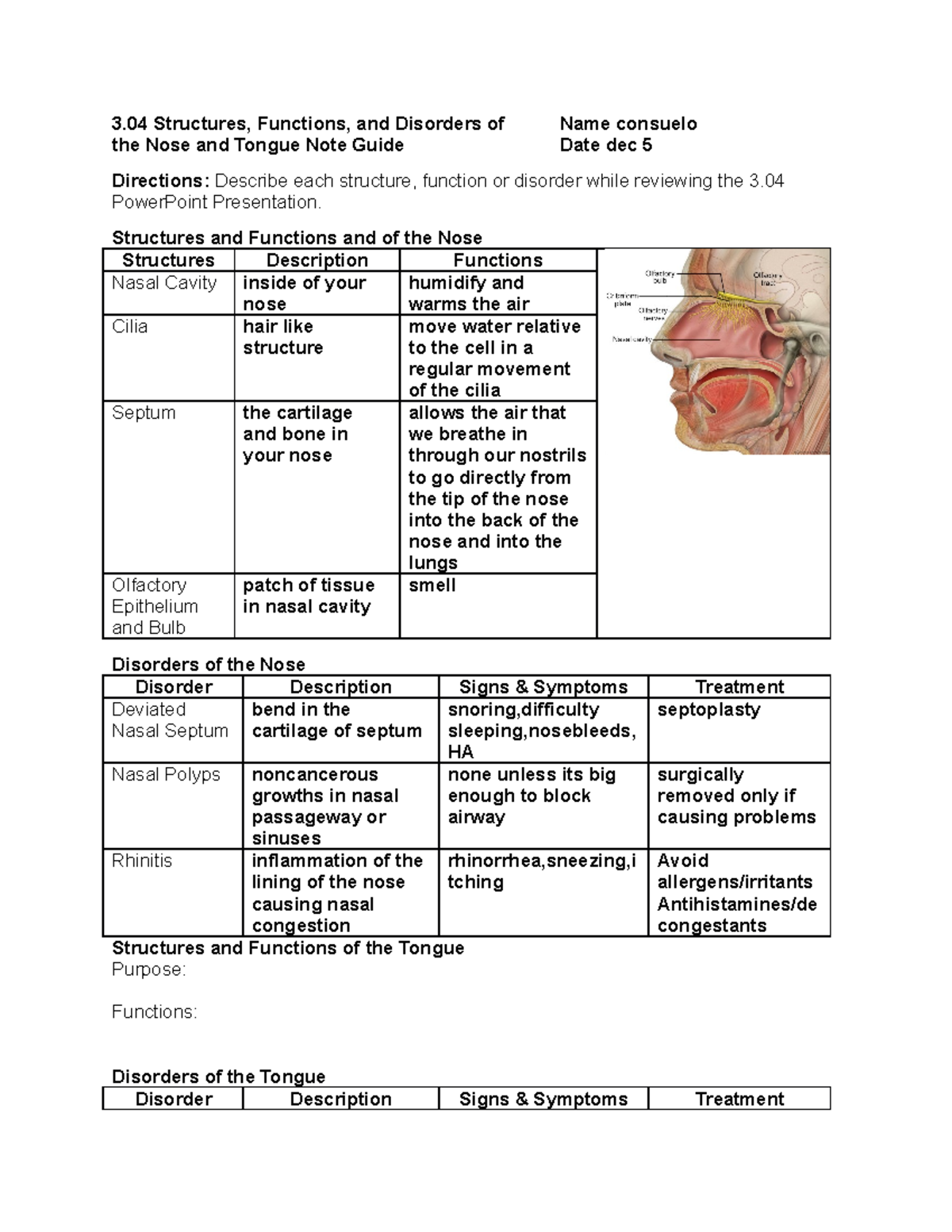Nose and Tongue NG - hbvyyfg - 3 Structures, Functions, and Disorders ...