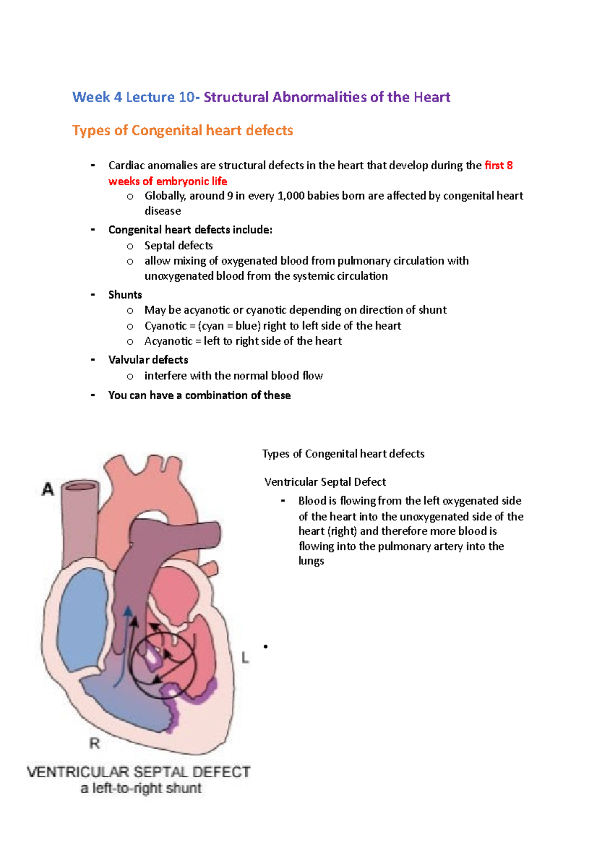 HUBS2505 week 4 lecture notes - Week 4 Lecture 10- Structural ...