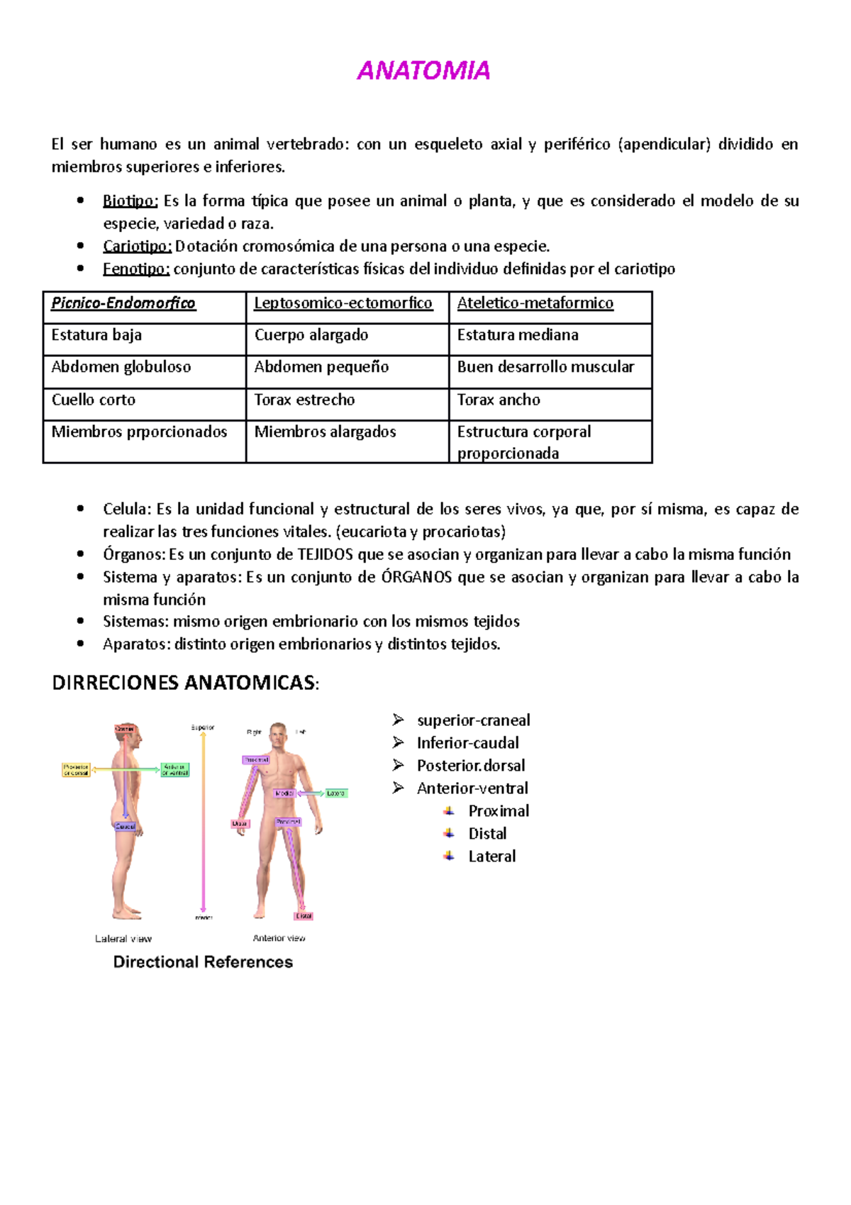Anatomia 1 - ANATOMIA El ser humano es un animal vertebrado: con un ...
