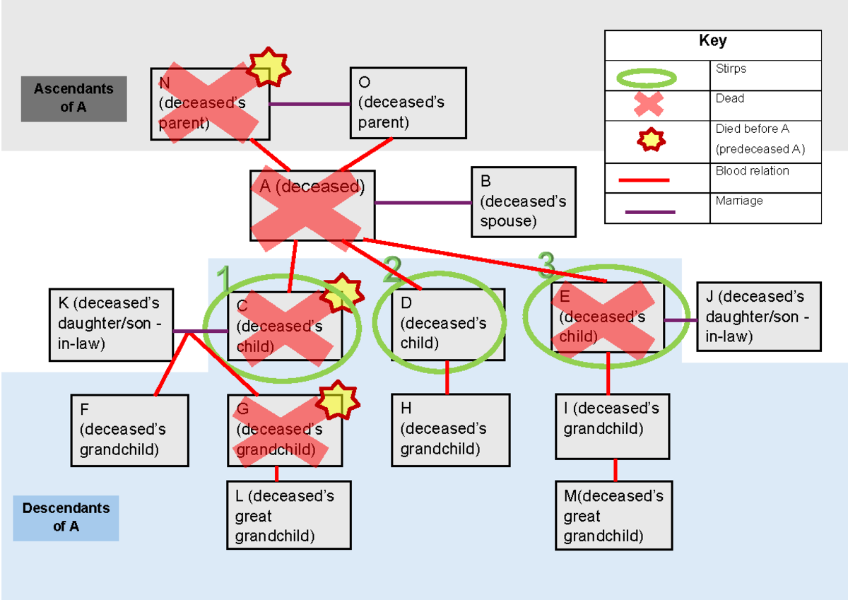 2LPL201 Stirps (Stirpes) Diagram - Key Stirps Dead Died before A ...