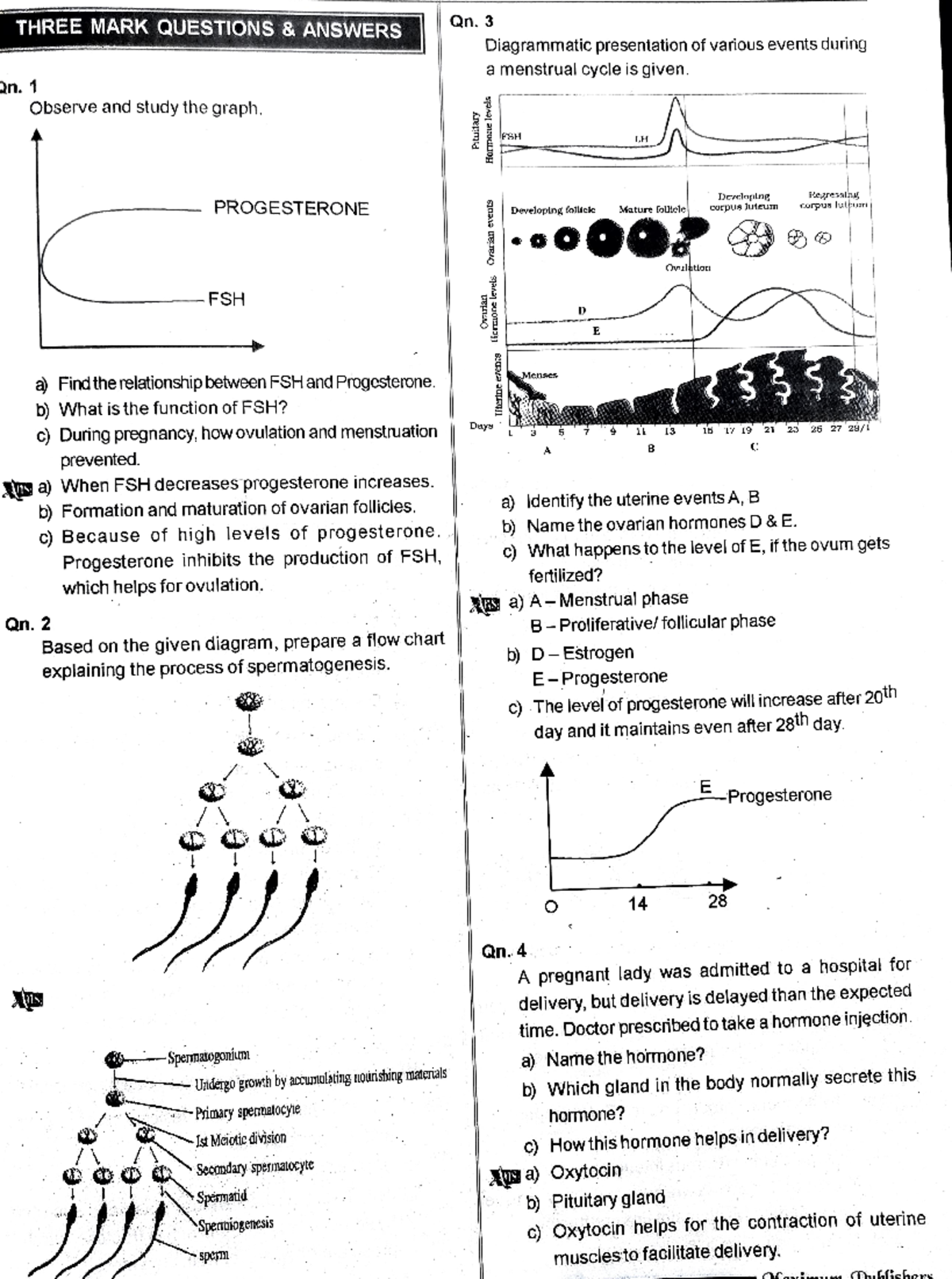 Human reproduction Question answers - THREE MARK QUESTIONS & ANSWERS Qn ...
