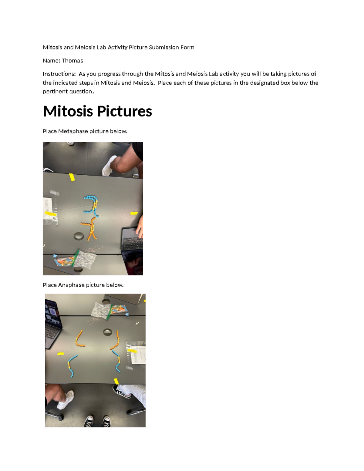 Mitosis and Meiosis Lab Activity Picture Submission Form - Place each ...