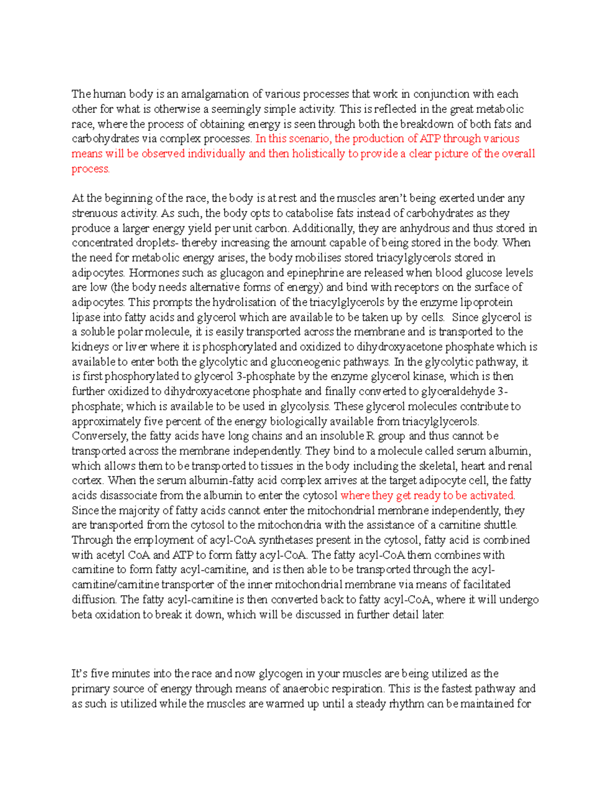 The Great Metabolic race CH - The human body is an amalgamation of ...