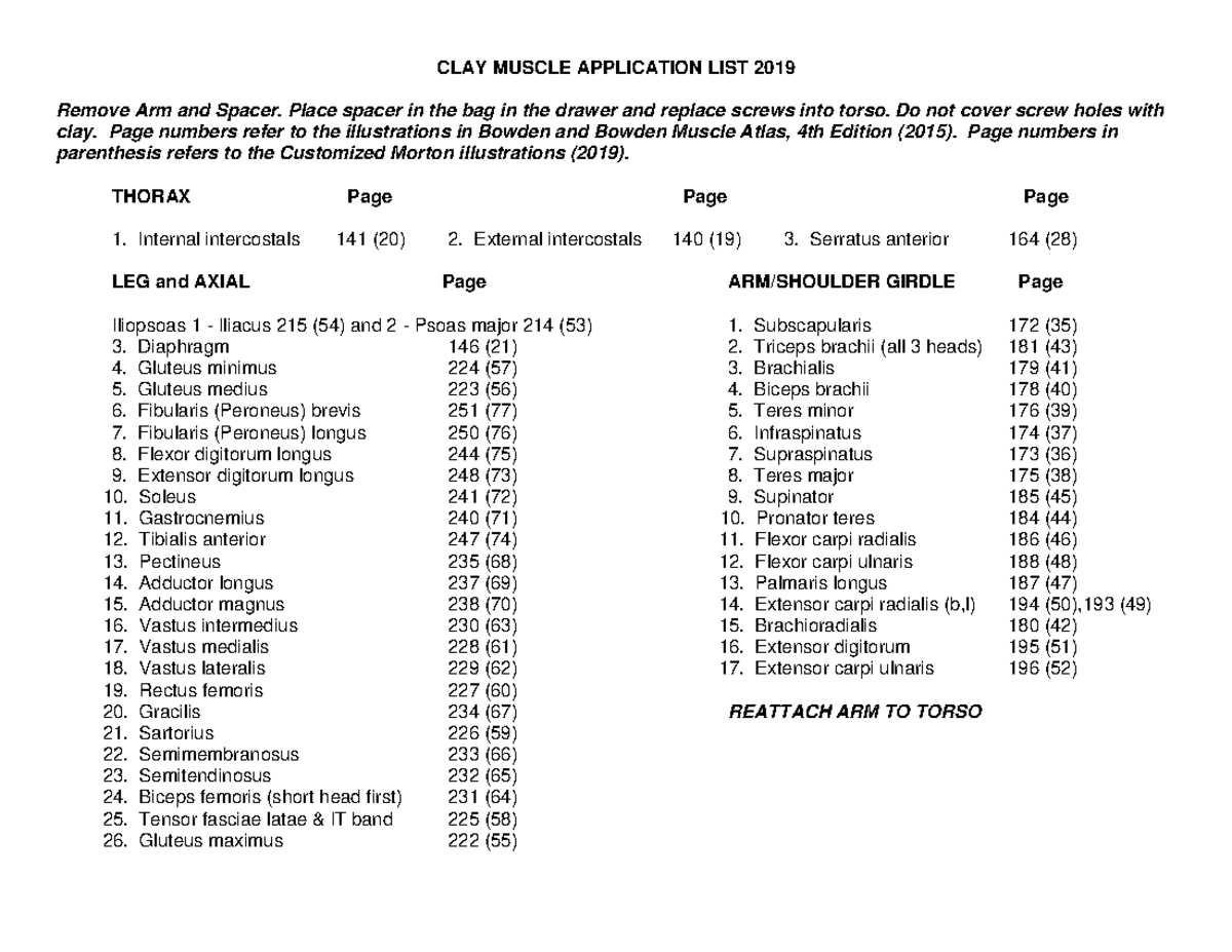 Clay Muscle Application List 4th Edition 2019 - SCB 203 - LaGuardia ...