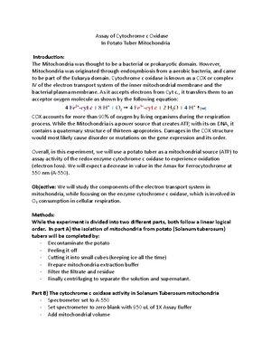 AP Biology Chapter 6 Notes - Campbell Biology Chapter 6: A Tour of the ...