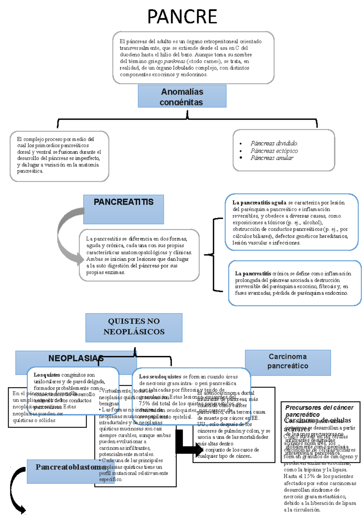 Pancreas - El páncreas del adulto es un órgano retroperitoneal ...