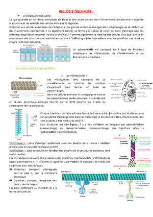 Fiche sur les jonctions cellulaires - 1 Jonction d’ancrage/d’adhésion L ...