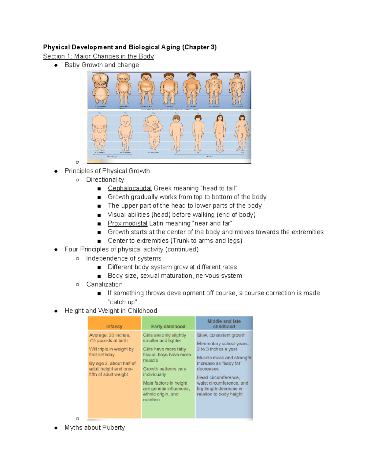 Developmental Psych. Notes - Physical Development and Biological Aging ...