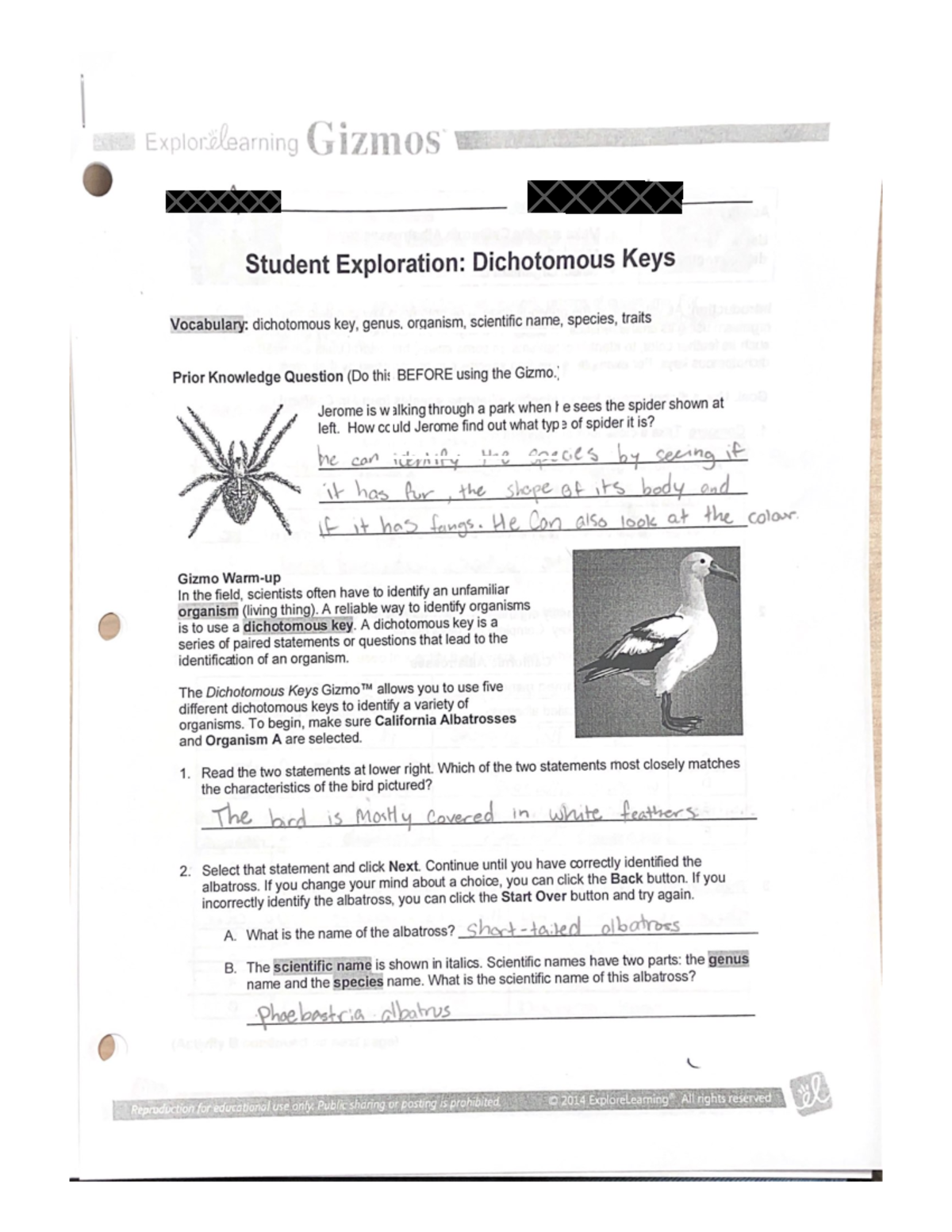 Gizmo Worksheets - Studocu