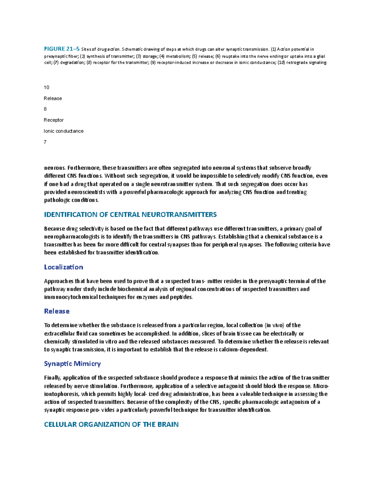 Pharmacology notes 9 - FIGURE 21–5 Sites of drug action. Schematic ...