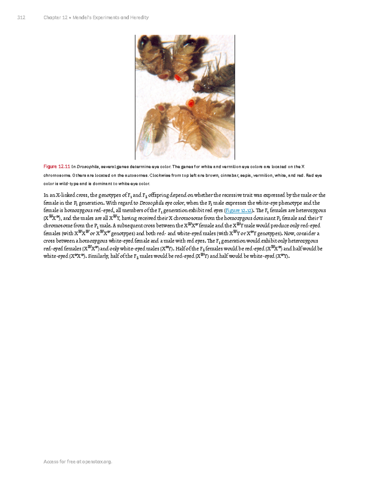Chapter 12 Mendel's Experiments and Heredity Part 7 - Figure 12 In ...
