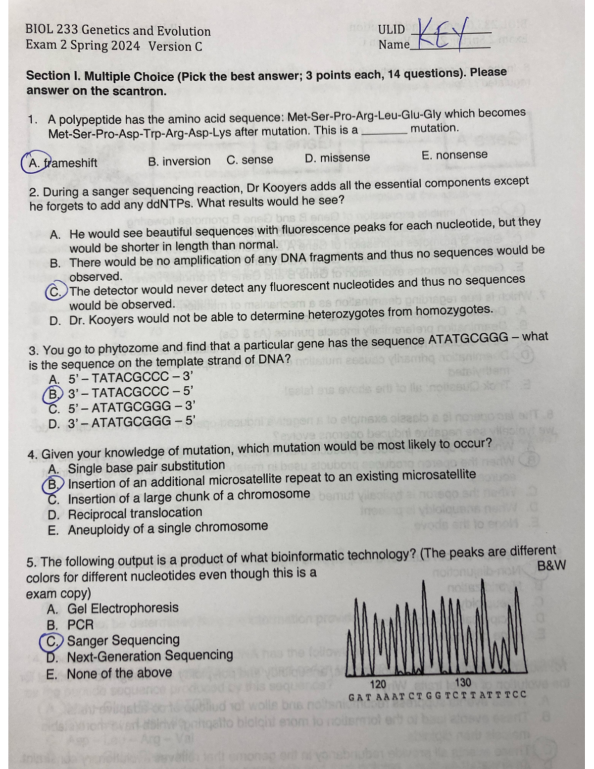 Exam 2 2024 Key - BIOL 233 - Studocu
