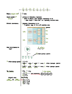 Genetics lecture notes - 0 PM Thu Feb 2 Genetics Exam 1 Slides X ...