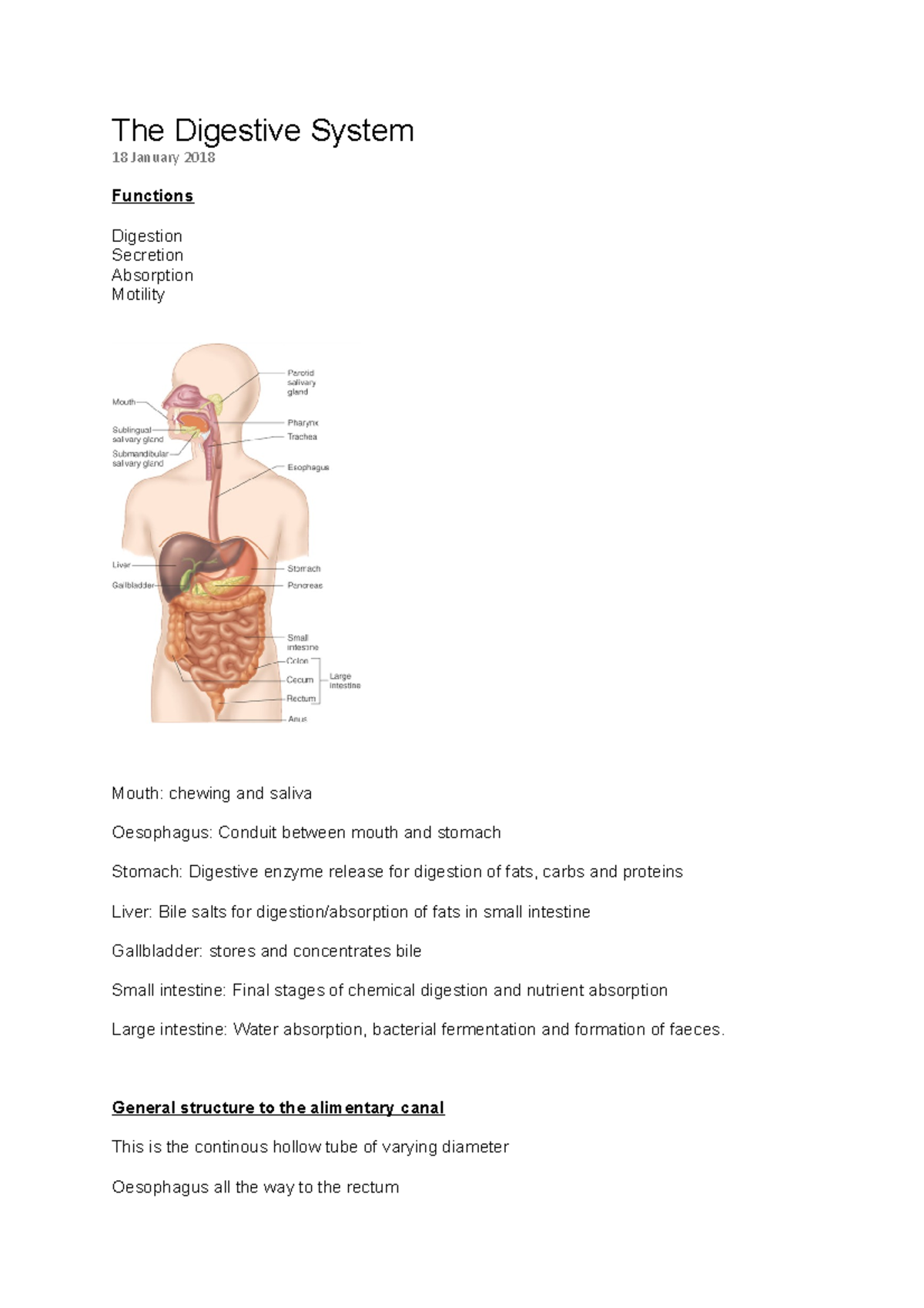 Physiology of Human Organ Systems - The Digestive System 18 January ...