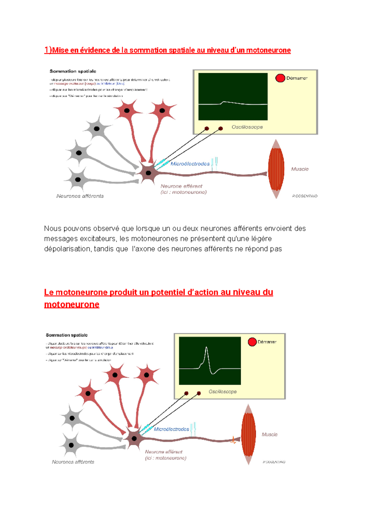 sdxcscffewwdcxso - 1) Mise en évidence de la sommation spatiale au ...