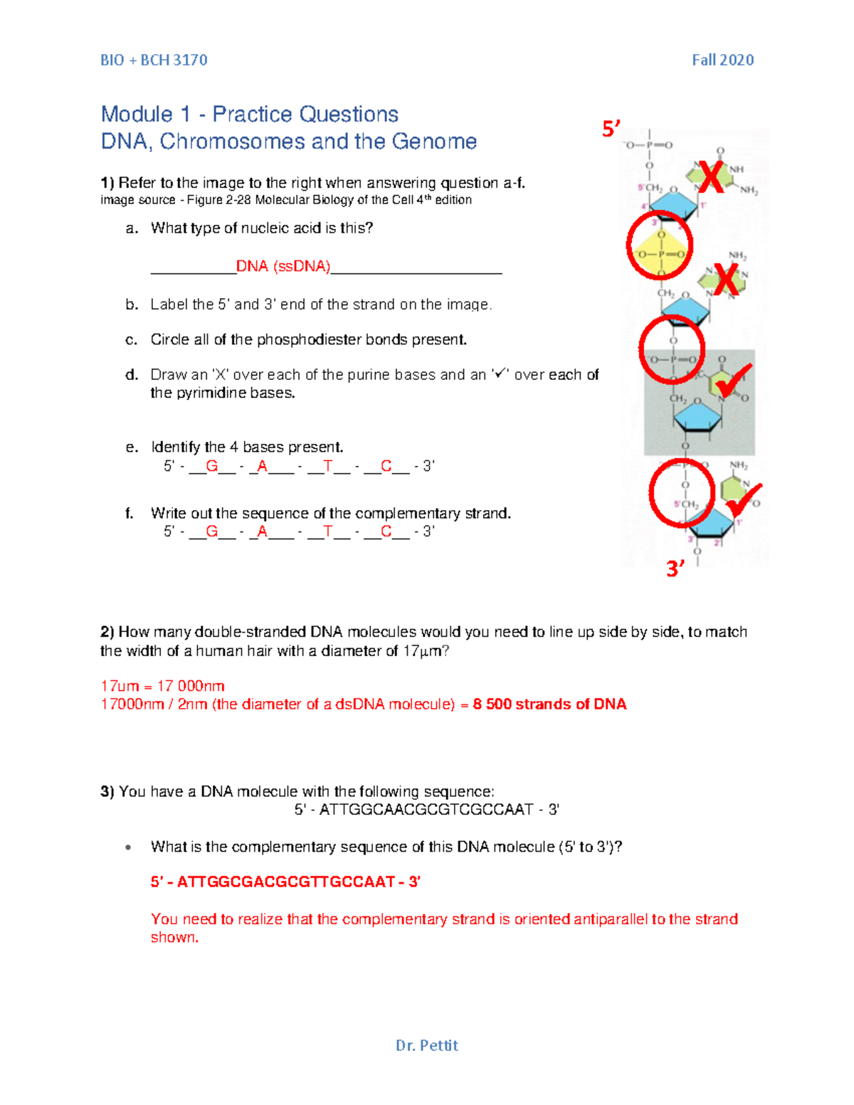 BIO+BCH3170 Module 1 Practice Problems Fall2020 Solutions - Warning: TT: undefined function: 32 ...