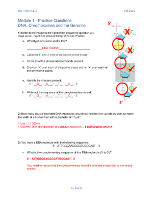 2023 Fall Term BIO 3170 A00 Molecular Biology - Faculté des sciences ...