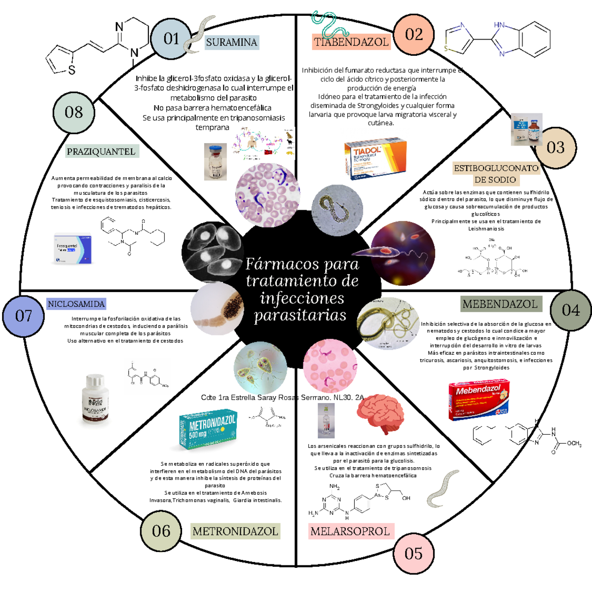 Medicamento de parásitos - Fármacos para tratamiento de infecciones ...