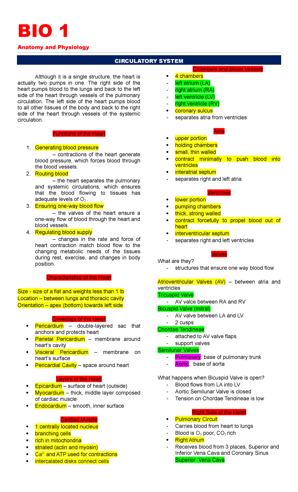 Circulatory- System - anaphy - tfn - BIO 1 Anatomy and Physiology ...