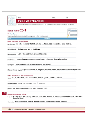 Lab 3 Supplemental Materials - In-Lab Worksheet_Lab 3 UNIT 7 – Bone ...