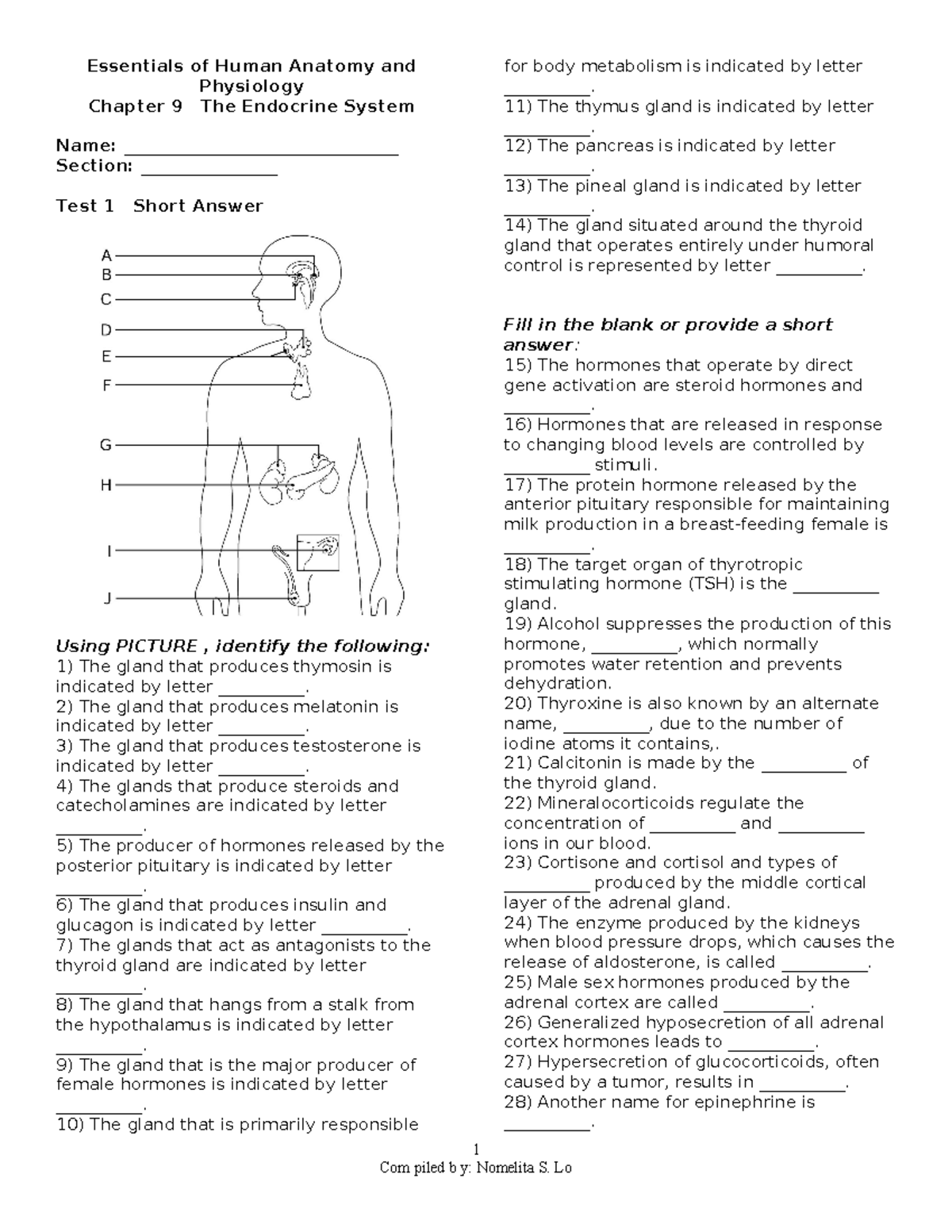 Endocrine chapter test latest - Essentials of Human Anatomy and ...