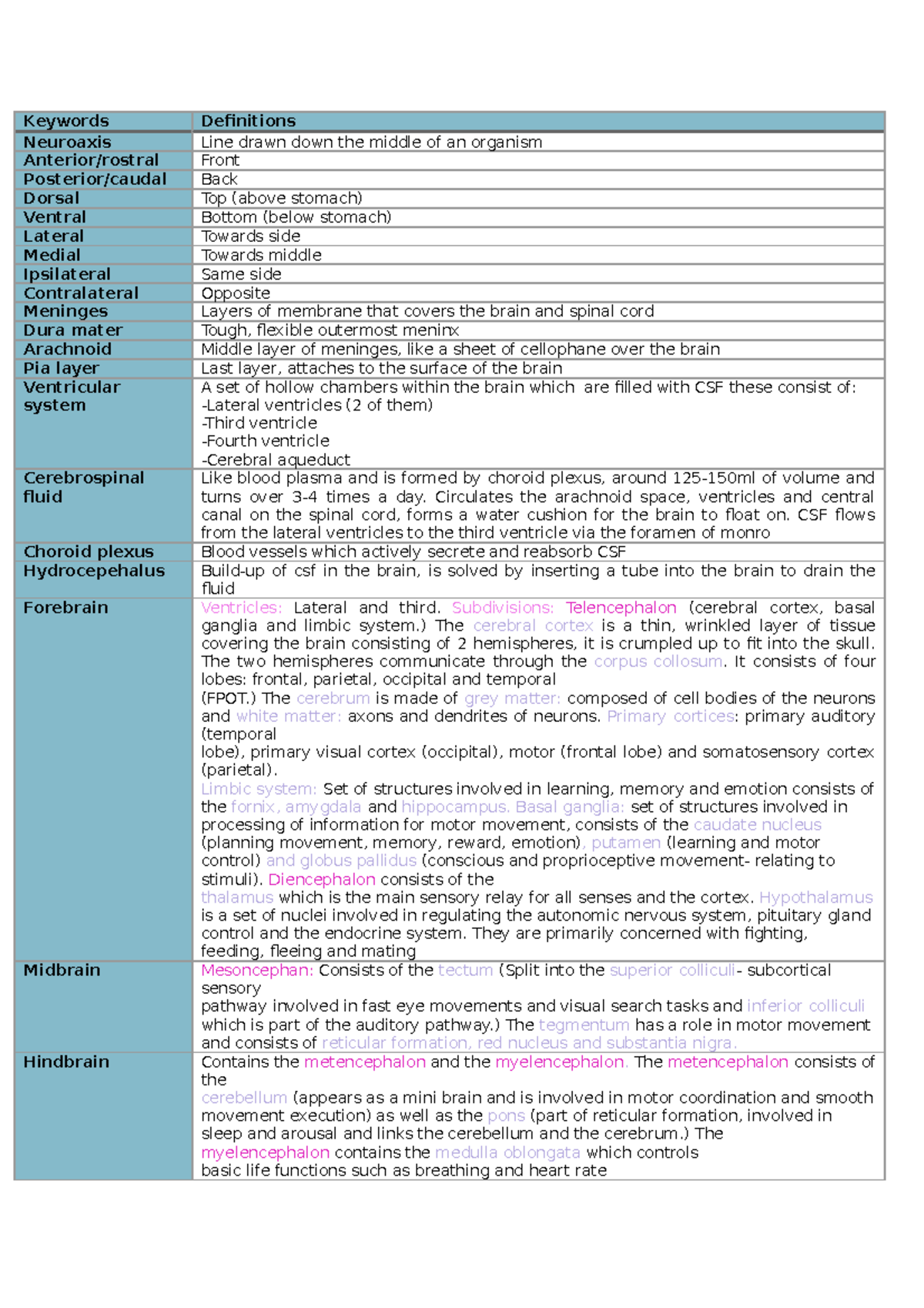 Keywords bb - Keywords Definitions Neuroaxis Line drawn down the middle ...