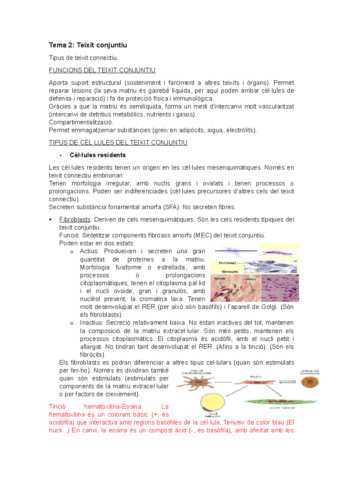 Tema 2 Teixit conjuntiu - Tema 2: Teixit conjuntiu Tipus de teixit ...