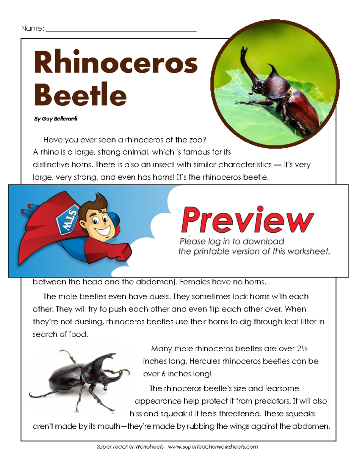 6th-rhinoceros-beetle - Have you ever seen a rhinoceros at the zoo? A ...