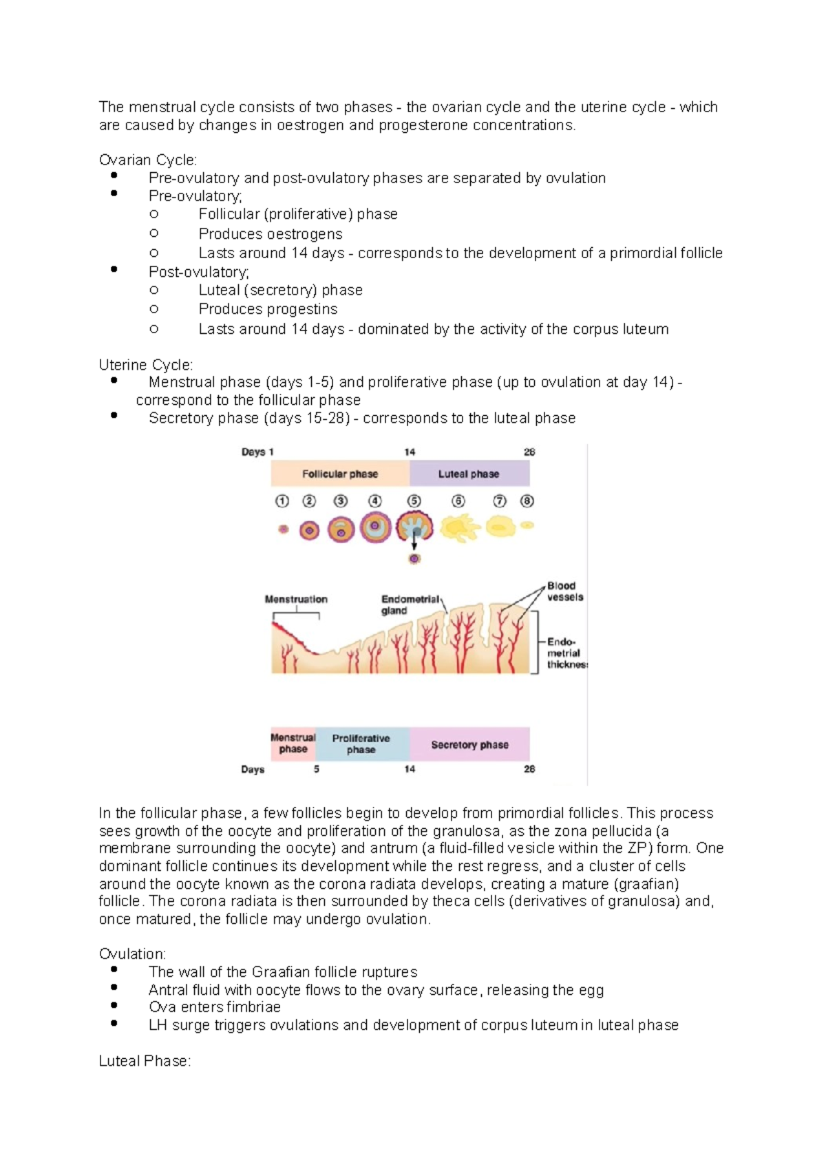 The menstrual cycle consists of two phases - Ovarian Cycle: Pre ...