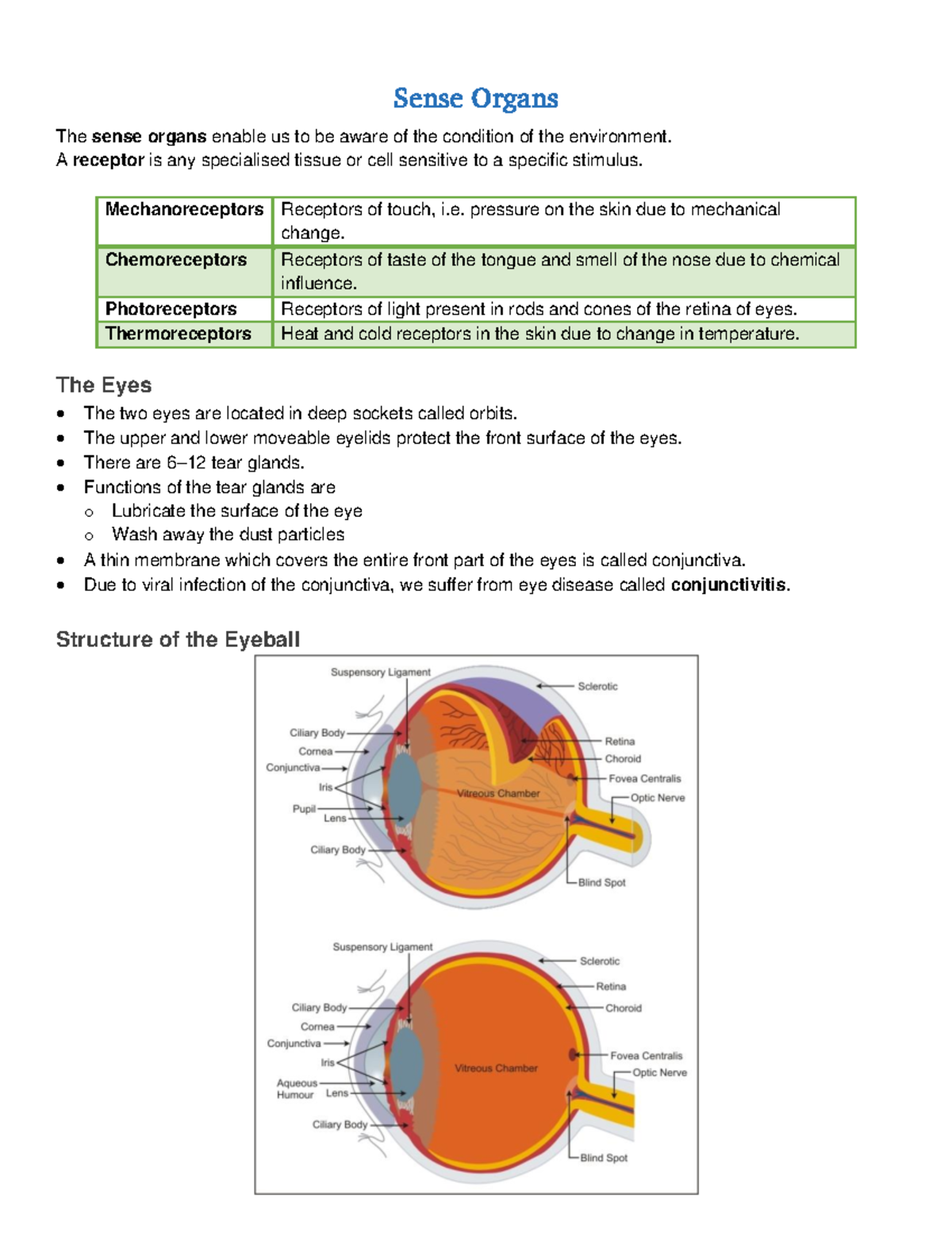 Sense organs 10 icse - Sense Organs The sense organs enable us to be ...