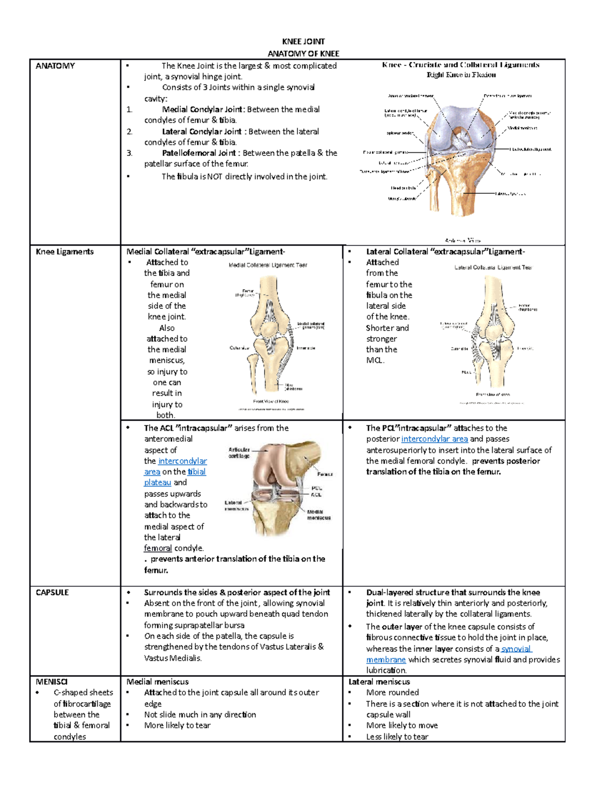 Knee Joint Anatomy - ANATOMY 1. 2. 3. Knee Ligaments CAPSULE Medial ...