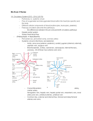 Lab 8 Blood and Heart - 1 NAME:___________________________ Lab 8: Blood ...