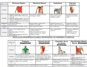 Acid-base Fluids and Electrolytes Made Ridiculously Simple booksmedicos ...