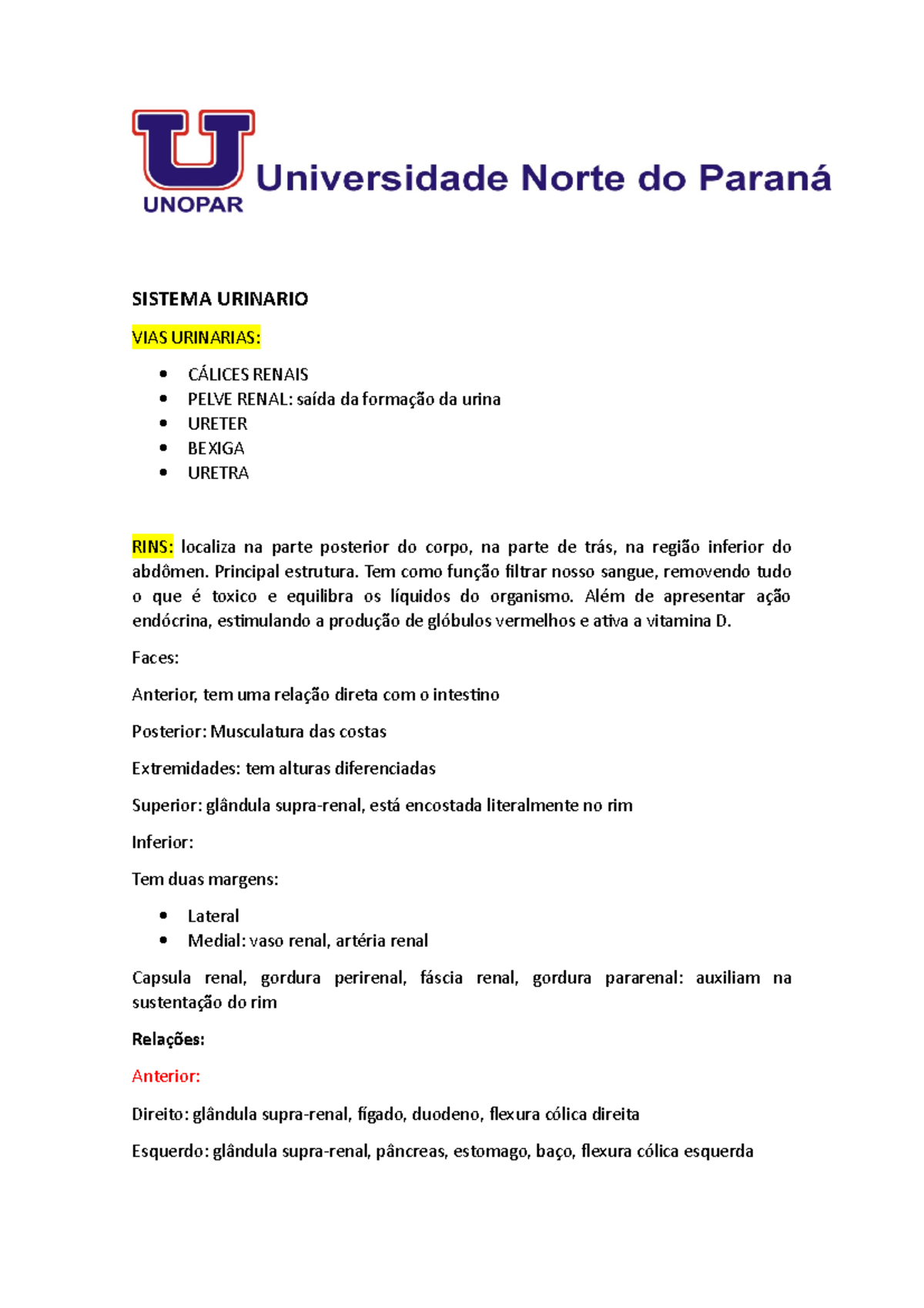 Sistema Urinário - SISTEMA URINARIO VIAS URINARIAS: CÁLICES RENAIS ...