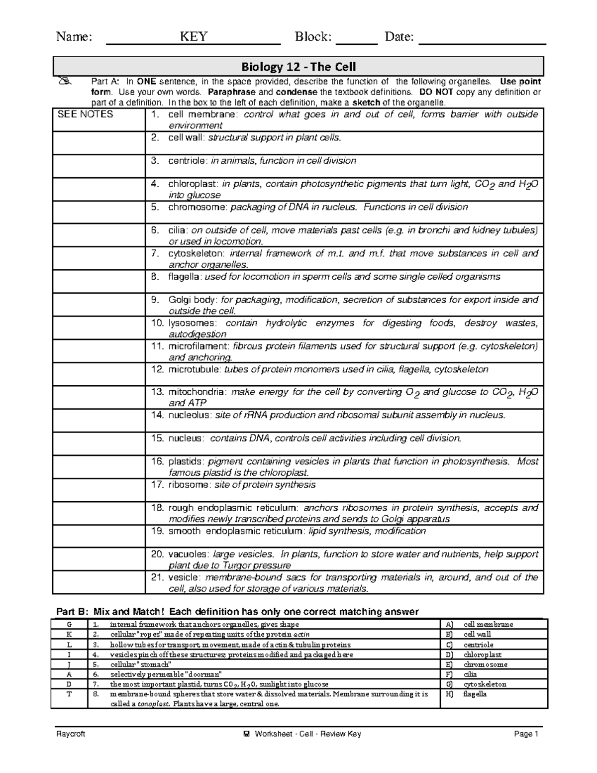 Worksheet - cell - review key - Name: KEY Block: Date: Biology 12 - The ...