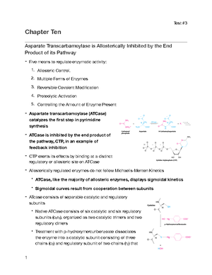 Chapter 1 Test Bank - Multiple Choice Questions Cellular foundations ...