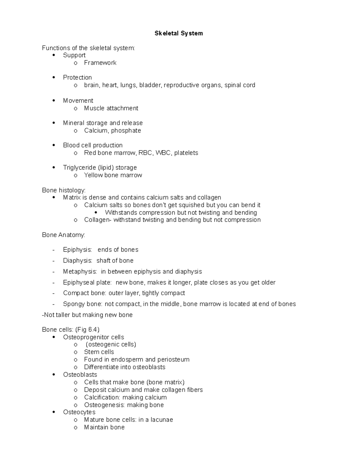 Skeletal System Evans Skeletal System Functions Of The Skeletal