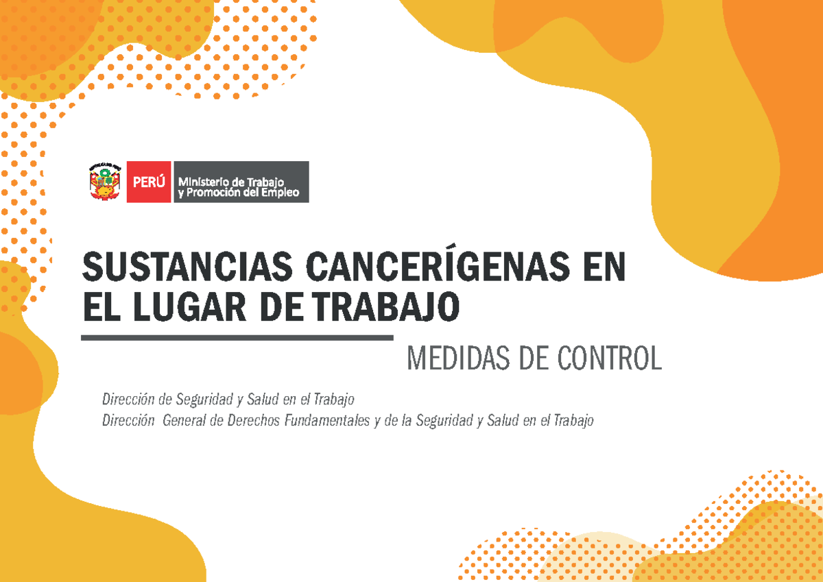 Sustancias Quimicas y Cancer - MEDIDAS DE CONTROL SUSTANCIAS CANCERÍGENAS EN EL LUGAR DE TRABAJO ...
