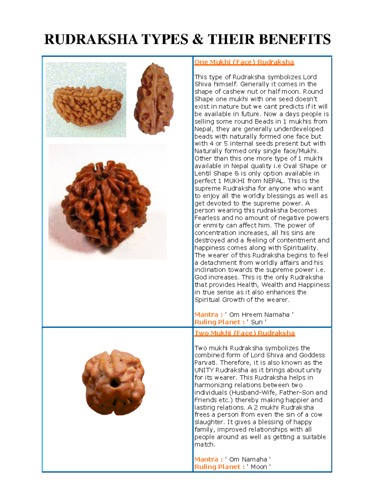 Rudraksha Types