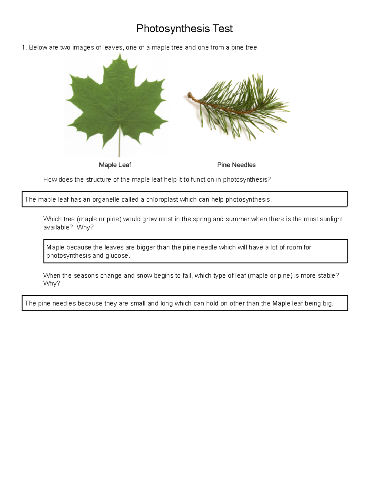 Photosynthesis Sup - Photosynthesis Test 1. Below are two images of ...