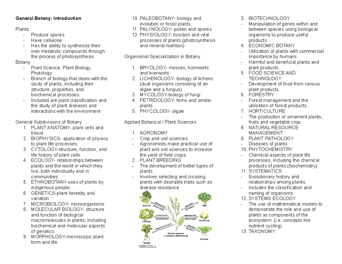 General Botany Notes - General Botany: Introduction Plants - Produce ...