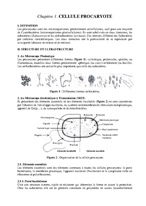 Chapitre 1 Cellule procaryote en US o 1 - c Figure 1 : Different forms ...