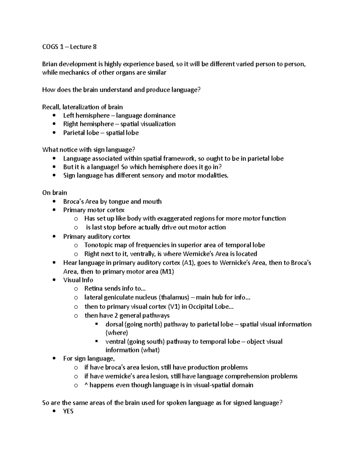 Cogs 1 Lecture 8 Cogs 1 Lecture 8 Brian Development Is Highly Experience Based So It Will