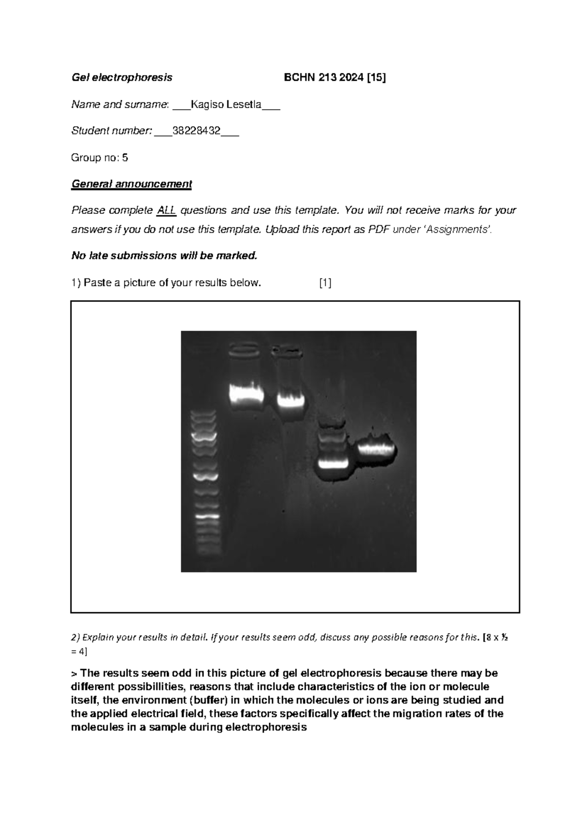 Gel+electrophoresis+assignment+2024 - Gel electrophoresis BCHN 213 202 ...